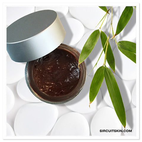 MOCHA LOCA + | Chocolate Lactic Acid Peel | SircuitSkin Cosmeceuticals ...